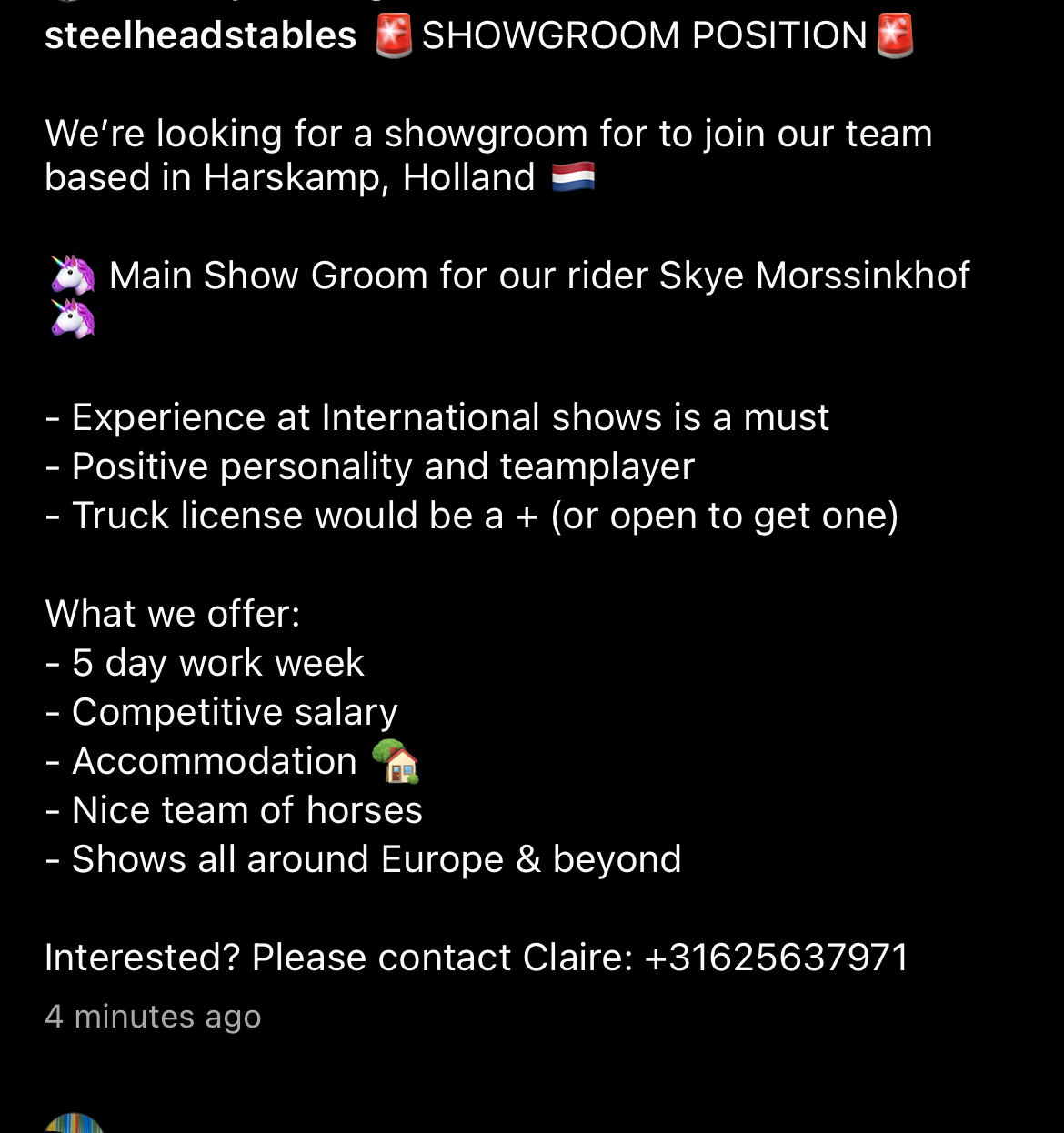 Show Groom (Showjumping) - Yehaww